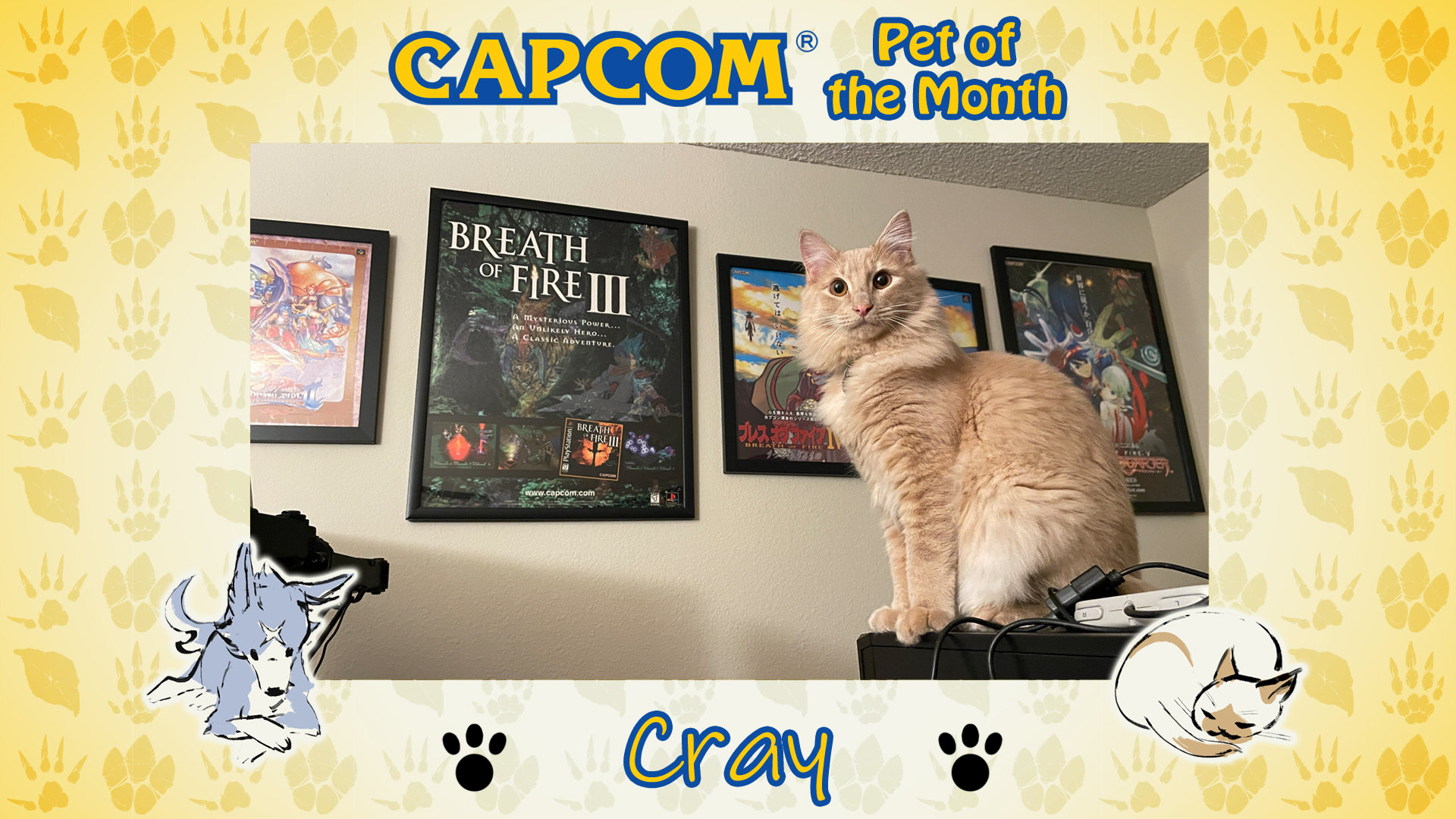 Capcom News